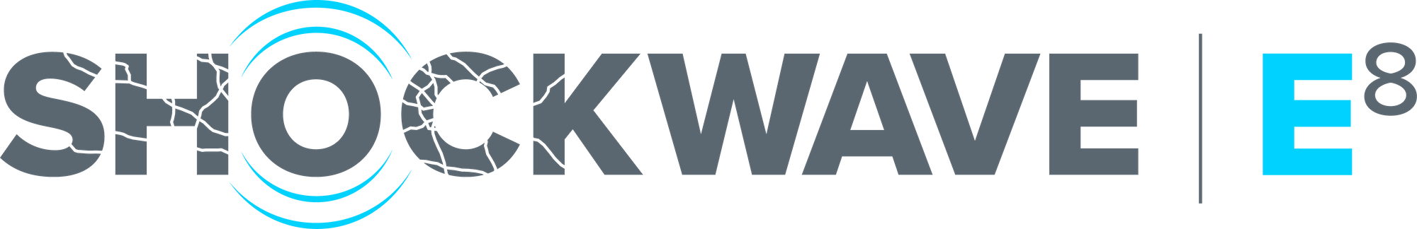 Shockwave E8 - Shockwave Medical